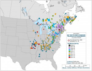 Big White-Nose Syndrome Map Update Adds 11 Counties – Caving News